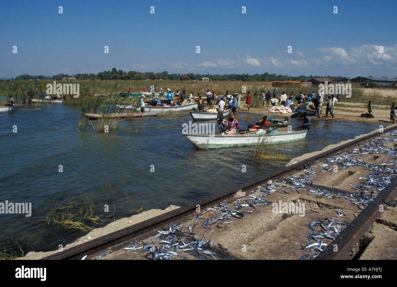 fishing boat harbour, Nkhotakota, Lake Malawi, Malawi Stock Photo - Alamy
