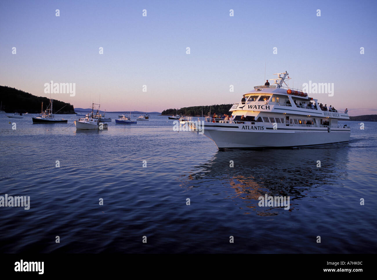 North America, US, ME, Whale Watching Boat. Frenchman Bay Stock Photo ...
