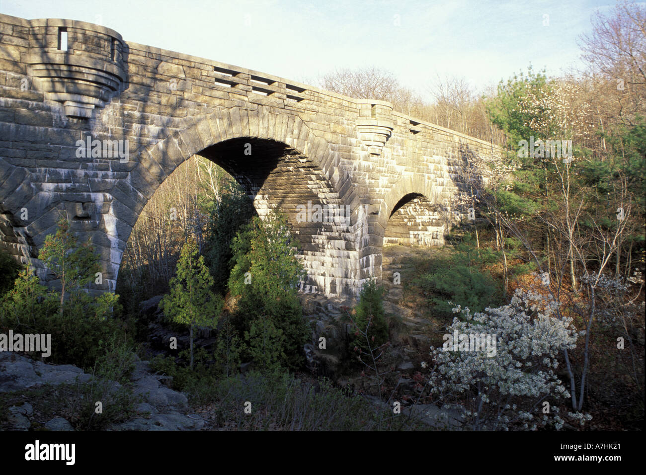 North America, US, ME, Duck Brook Bridge. Spring. Shad bush. Carriage ...