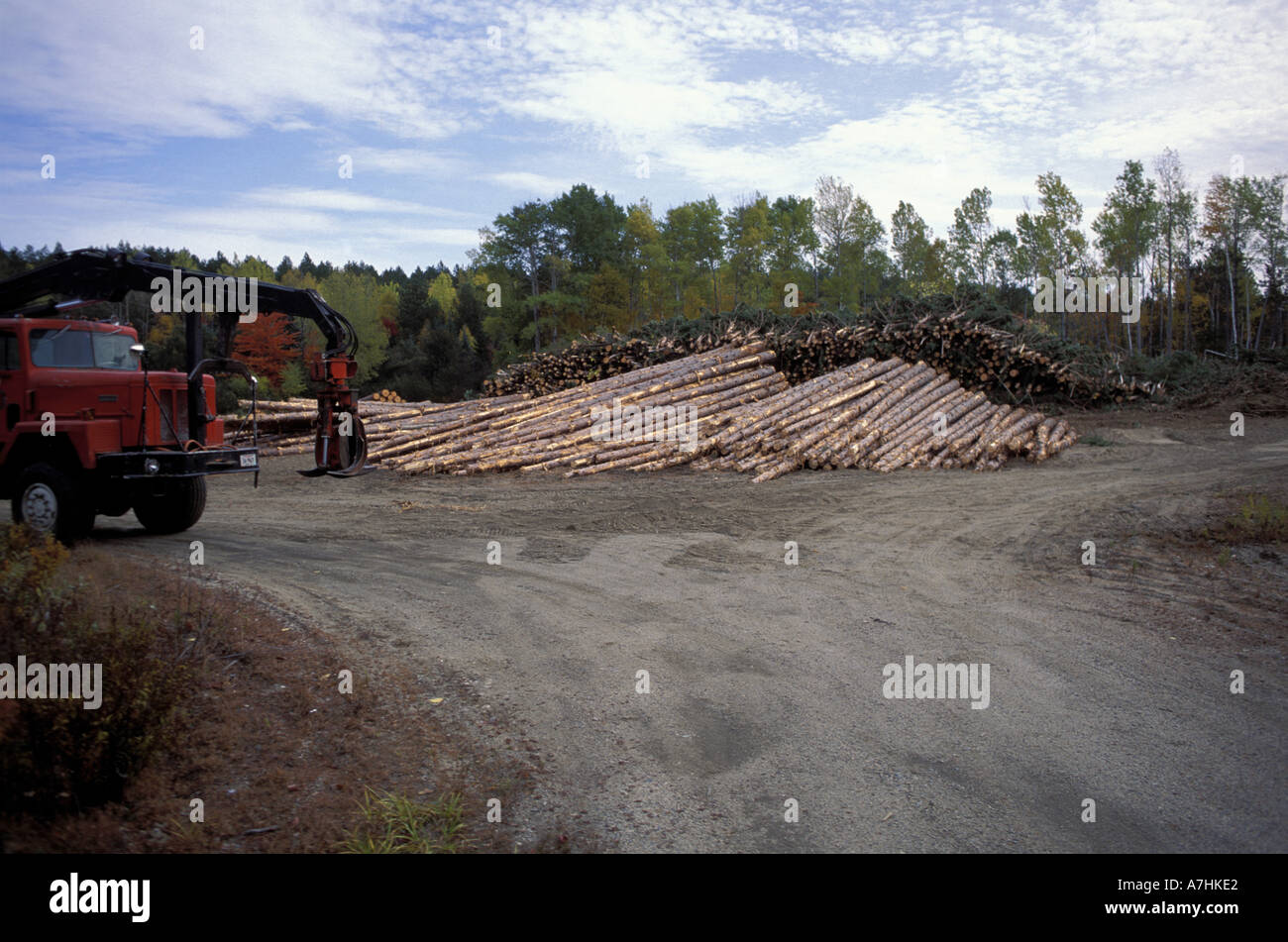 Logging truck paper mill hi-res stock photography and images - Alamy