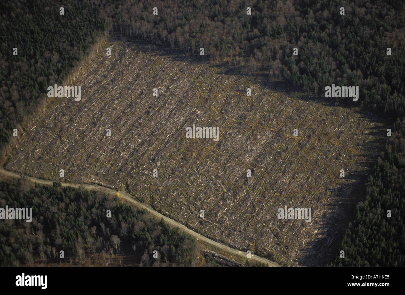 Clearcut forest aerial hi-res stock photography and images - Alamy