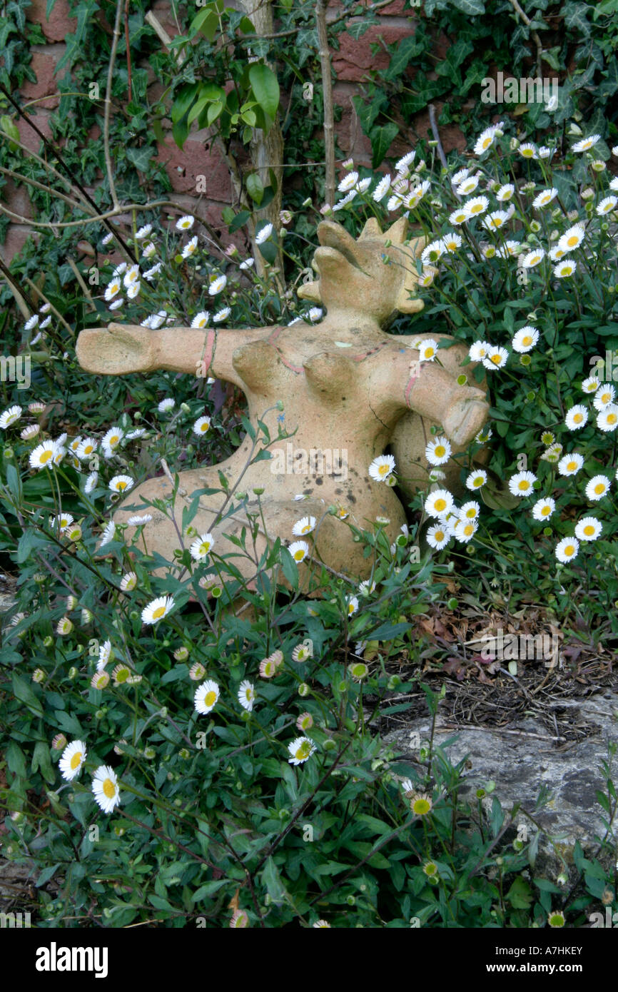 Erigeron karvinskianus mucronatus hi-res stock photography and images ...