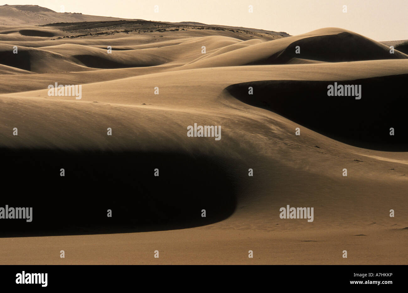 Desert landscape, Kunene region, Kaokoland, Namibia Stock Photo - Alamy