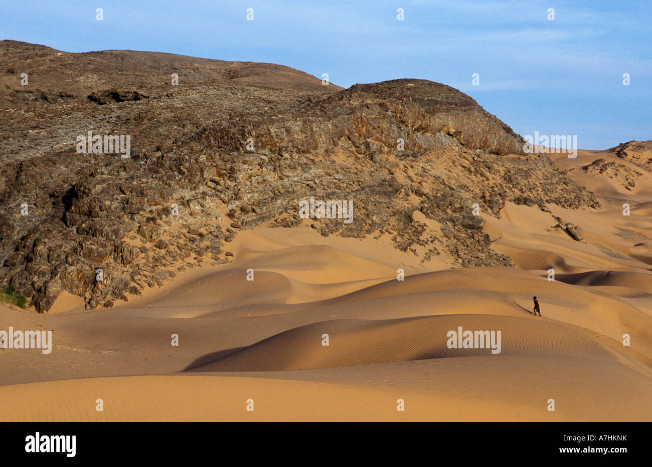 Himba boy in desert landscape, Kunene region, Kaokoland, Namibia Stock ...