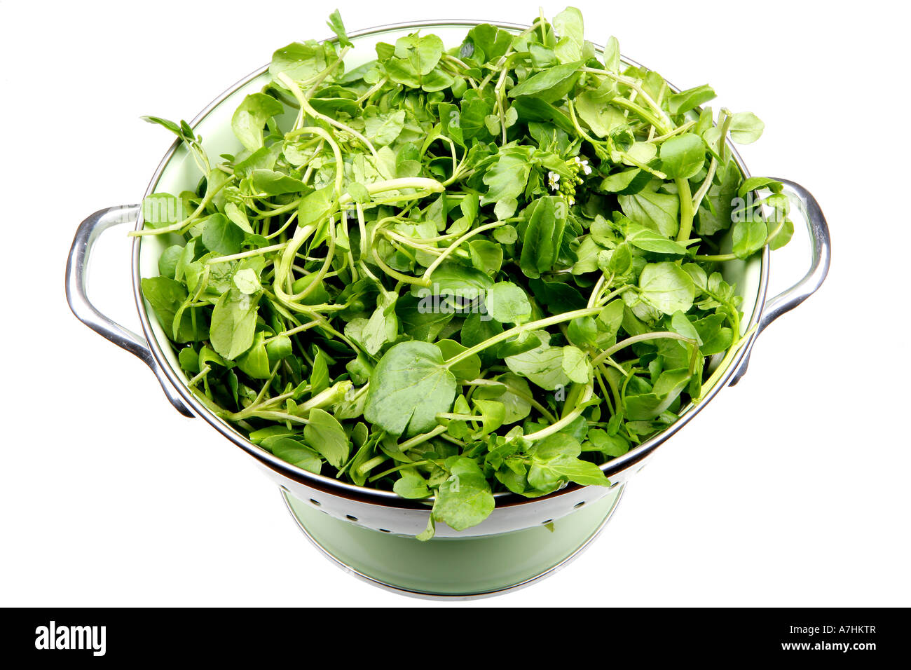 Peppery watercress hi-res stock photography and images - Alamy