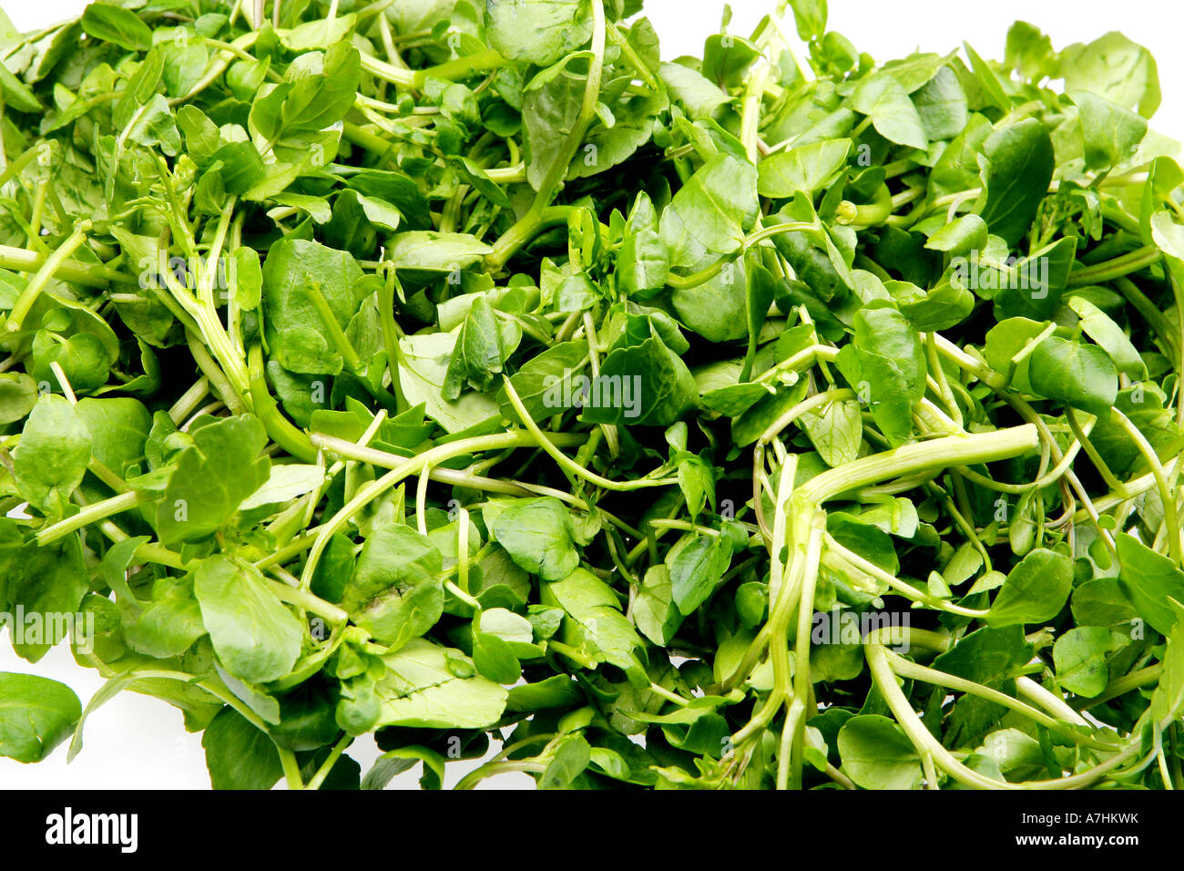 Peppery watercress hi-res stock photography and images - Alamy