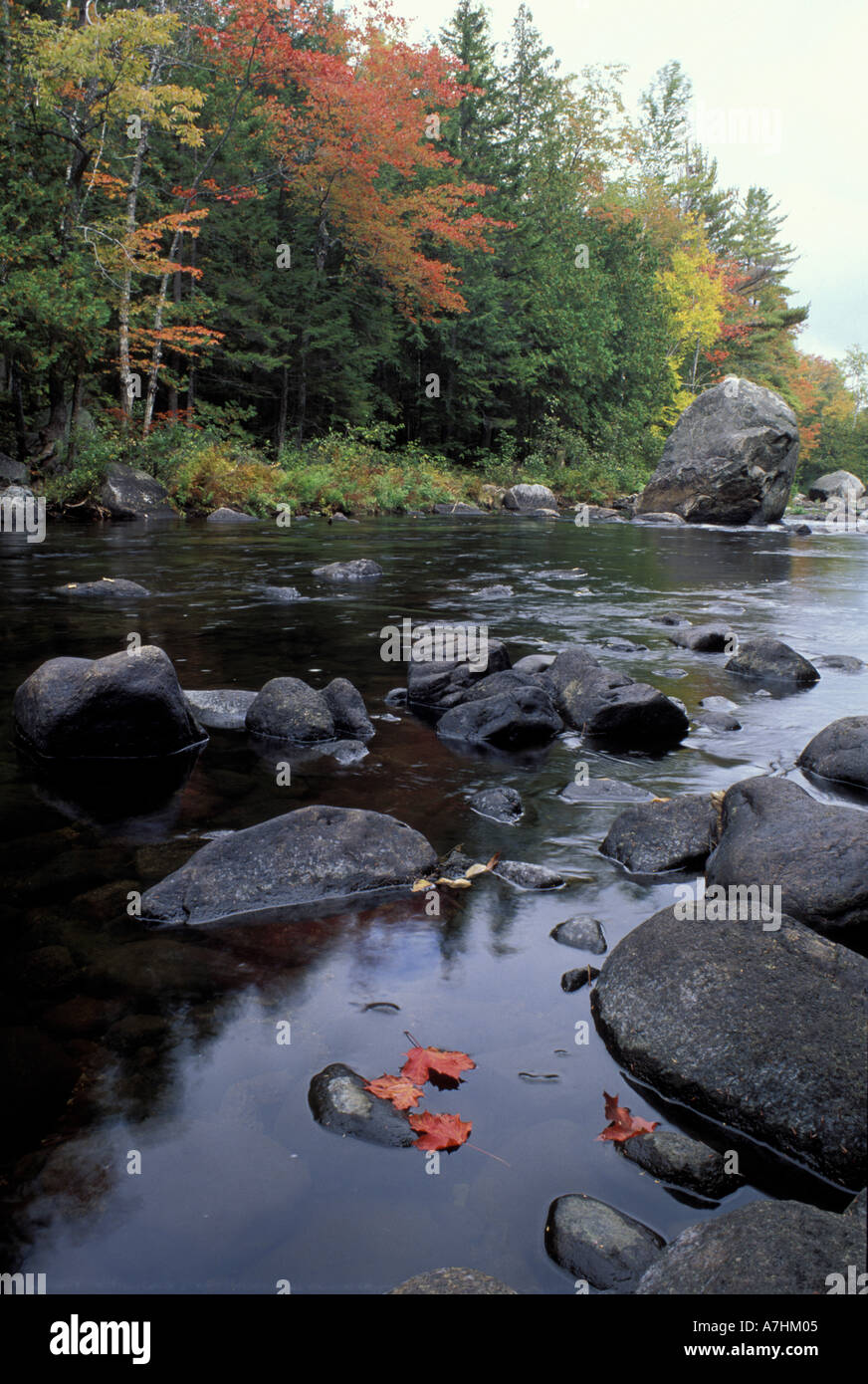North America, US, ME, Northern Forest. The 100 Mile Wilderness section ...
