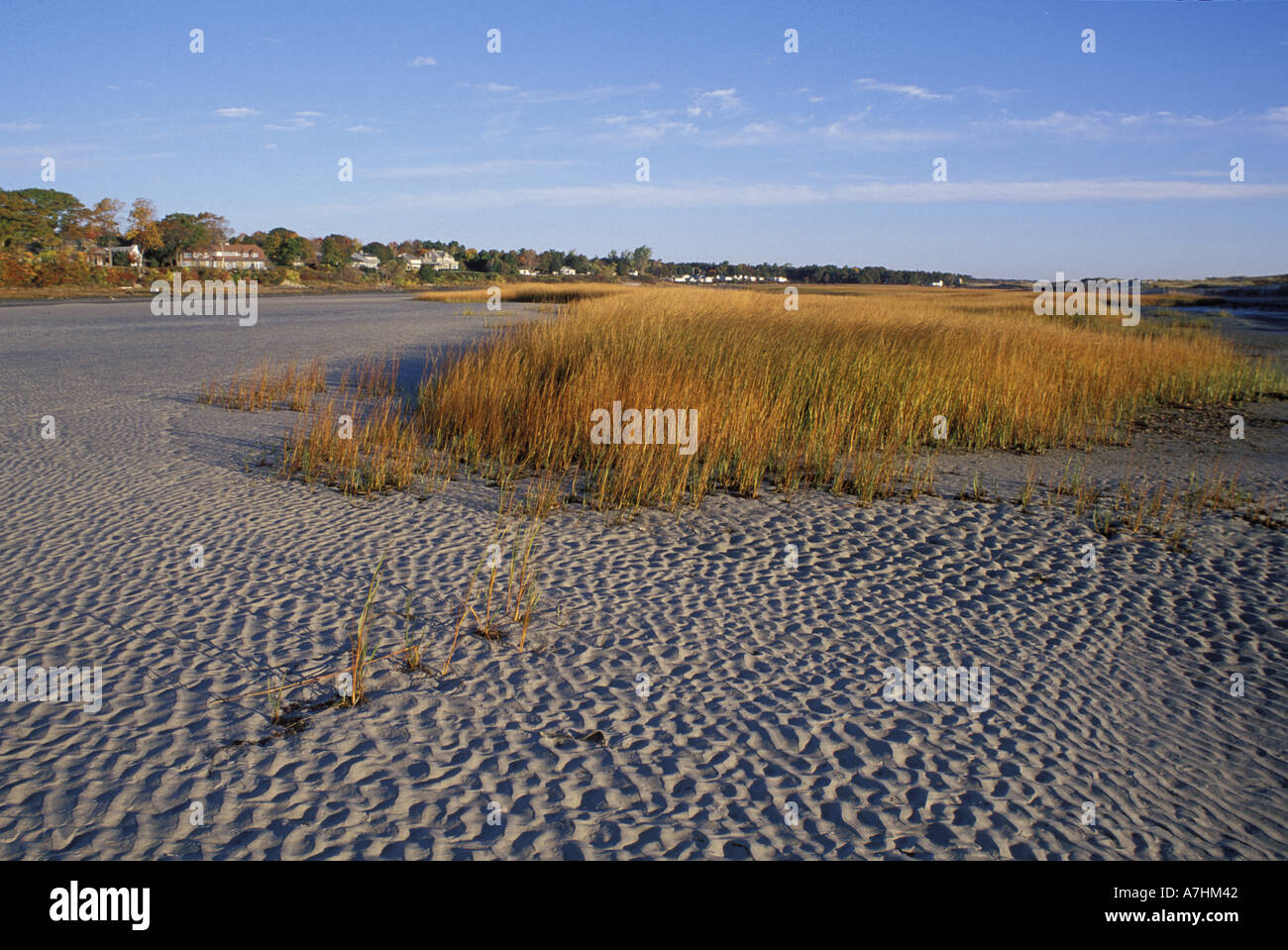 North America, US, ME, A tidal marsh on the coast. Patterns in the sand ...