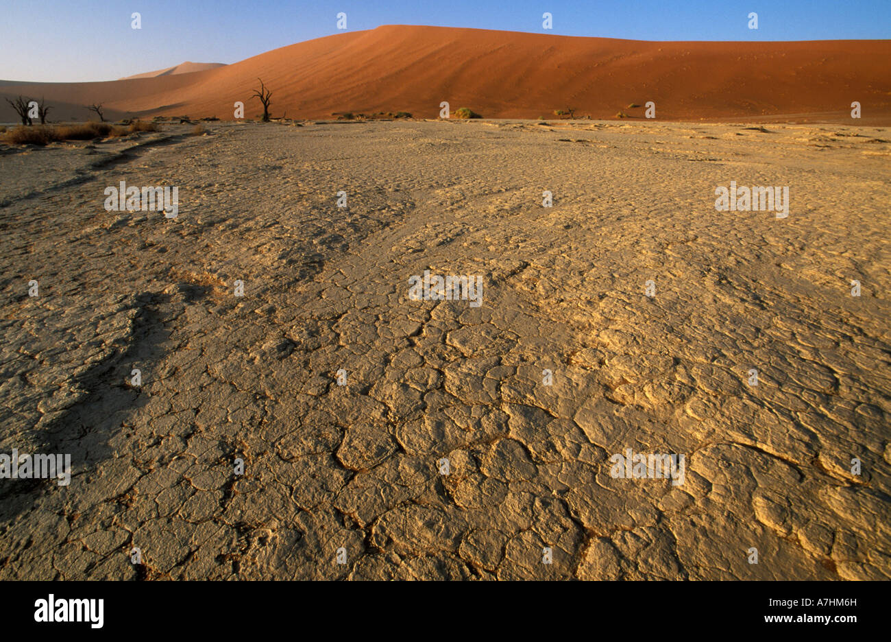 Dead Vlei, Namib Naukluft National Park, Namibia Stock Photo - Alamy