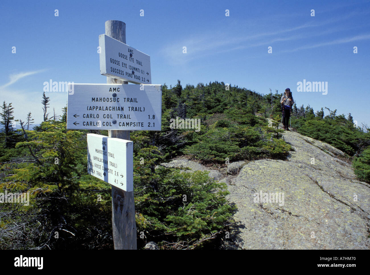 Maine, US, NH, Backpacking on Goose Eye Mountain. Mahoosuc Range, White ...