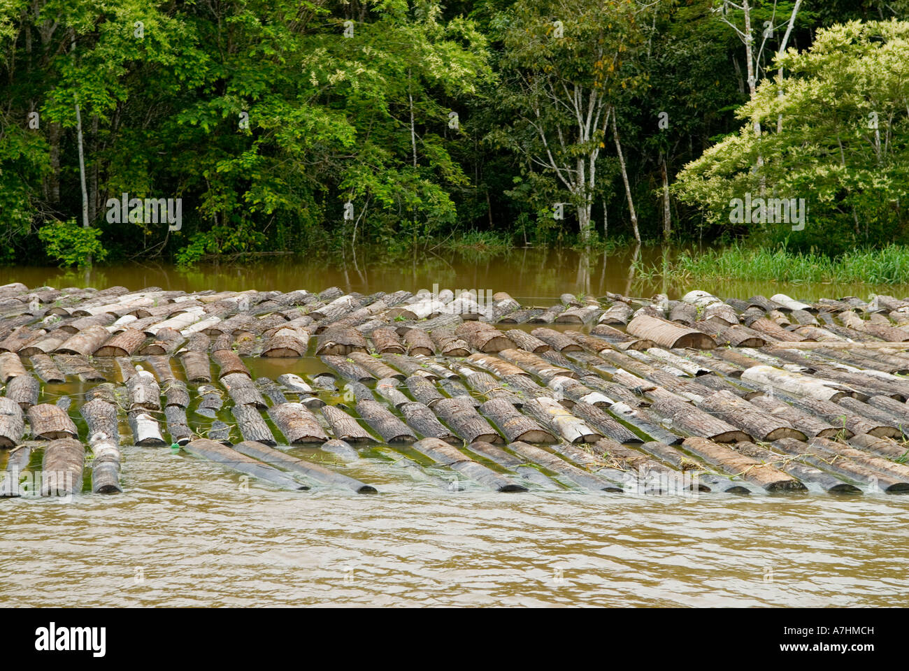 Amazon rainforest deforestation logs hi-res stock photography and ...
