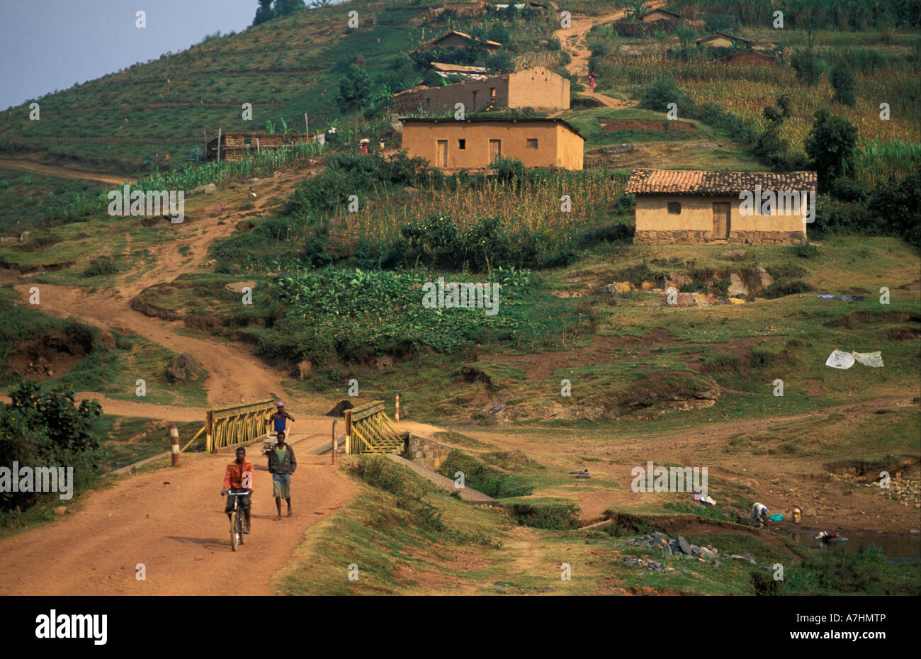 Terraced cultivated hills surrounding Lake Burera near Ruhengeri ...