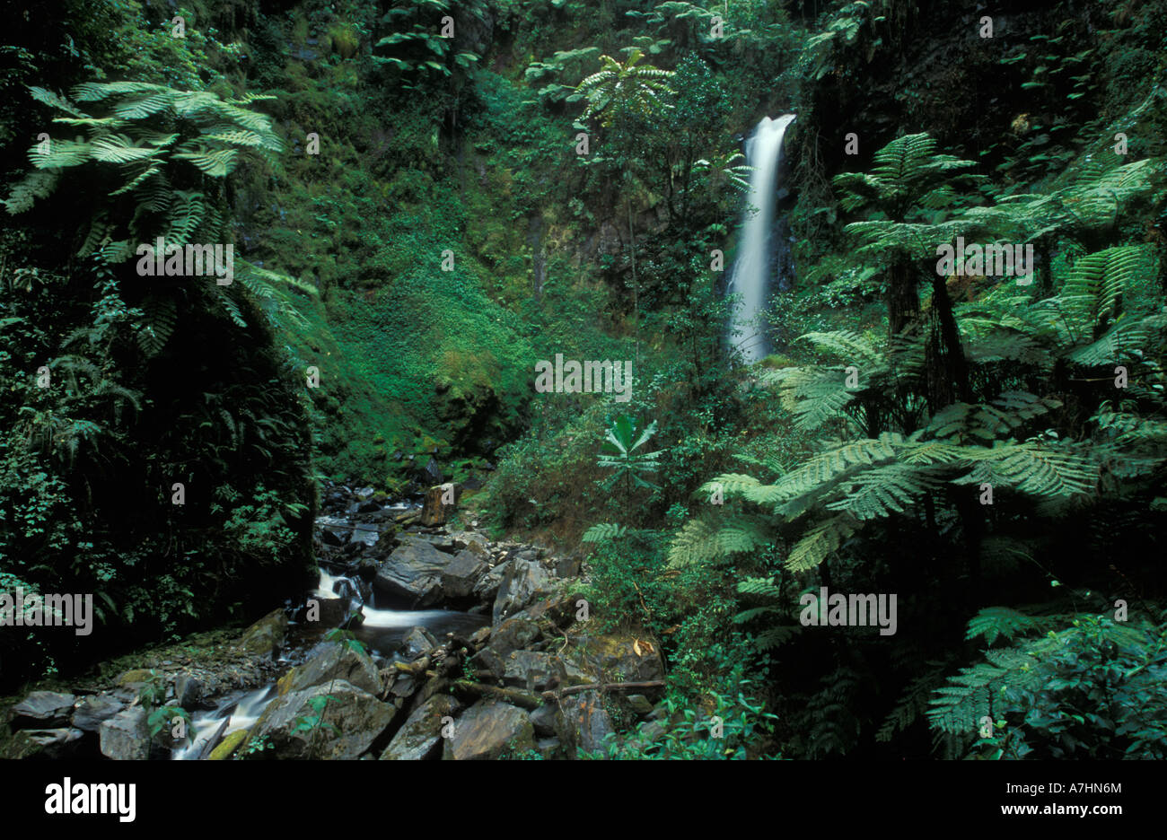 waterfall in Nyungwe forest National Park, Rwanda Stock Photo - Alamy