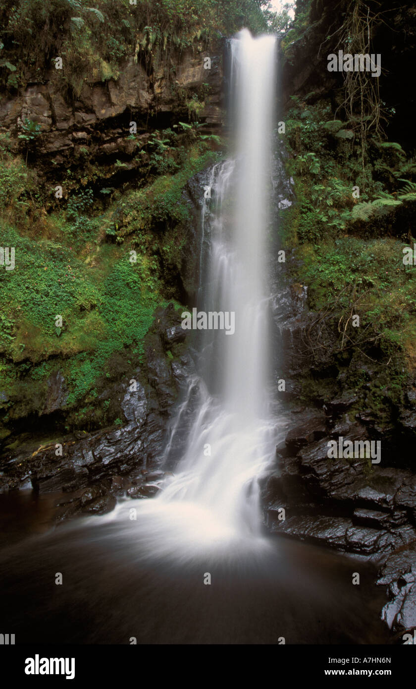 waterfall in Nyungwe forest National Park, Rwanda Stock Photo - Alamy