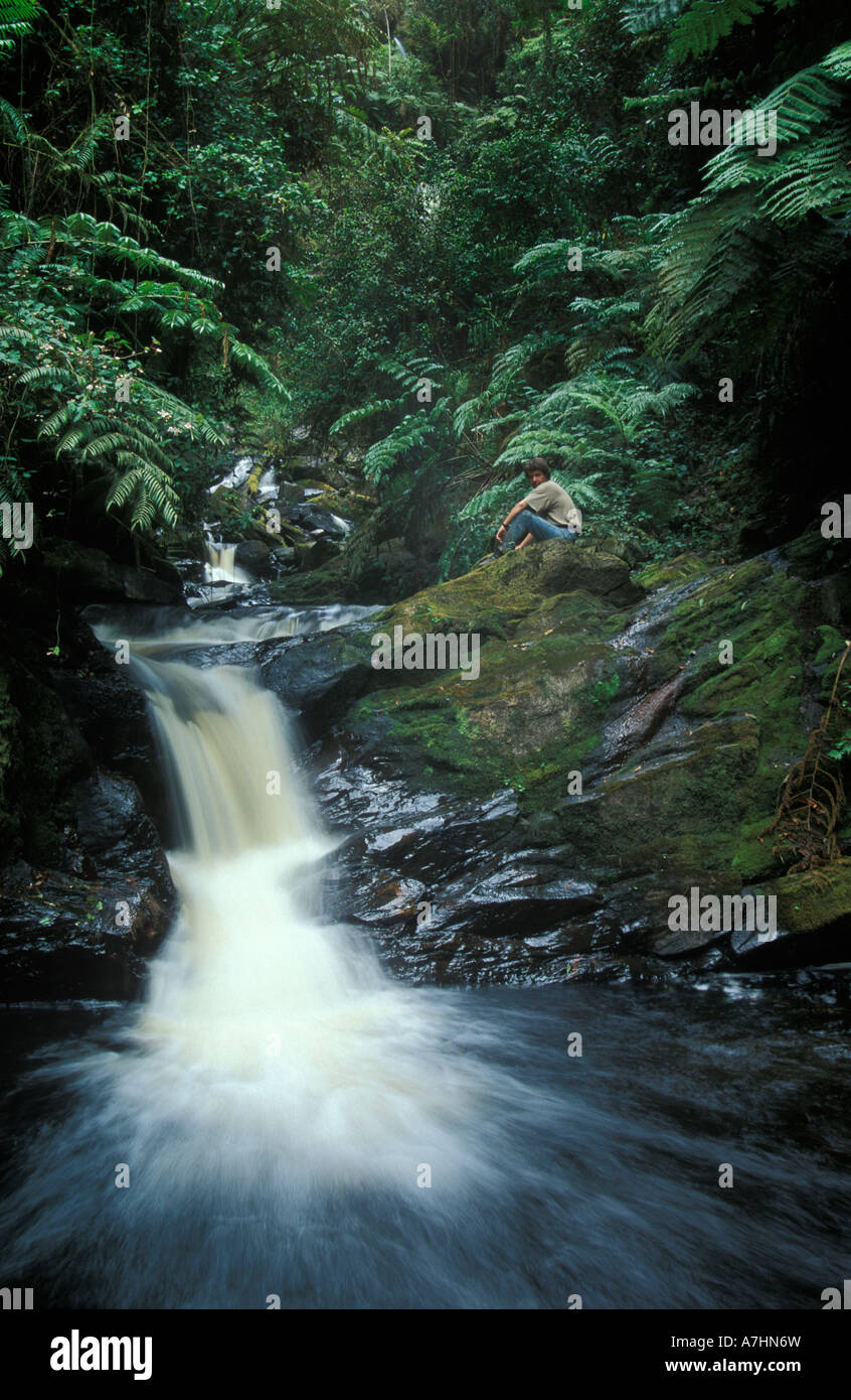 waterfall in Nyungwe forest National Park, Rwanda Stock Photo - Alamy