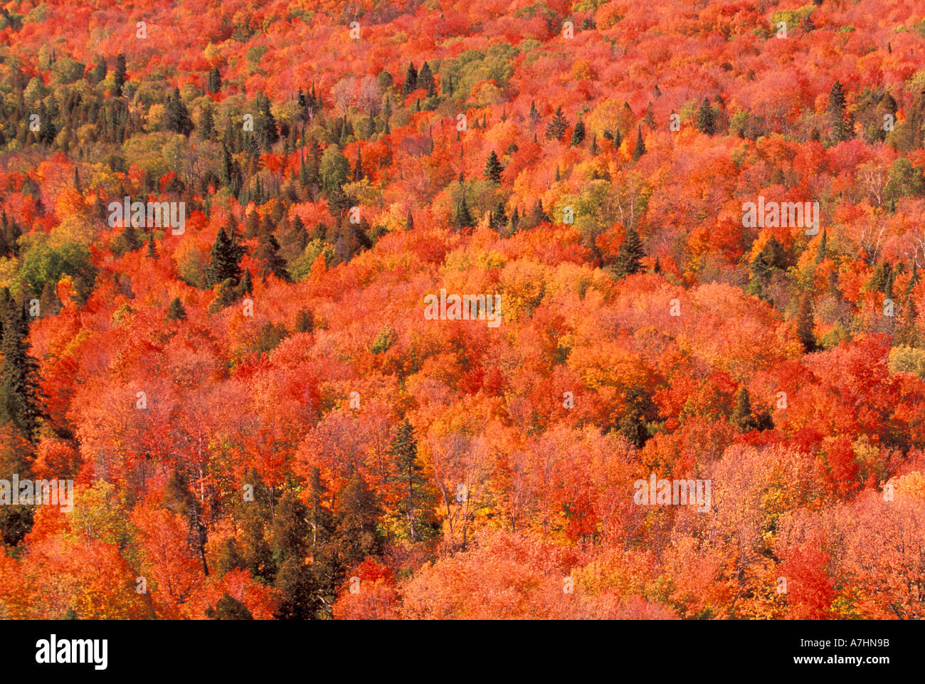 Northwoods color hi-res stock photography and images - Alamy