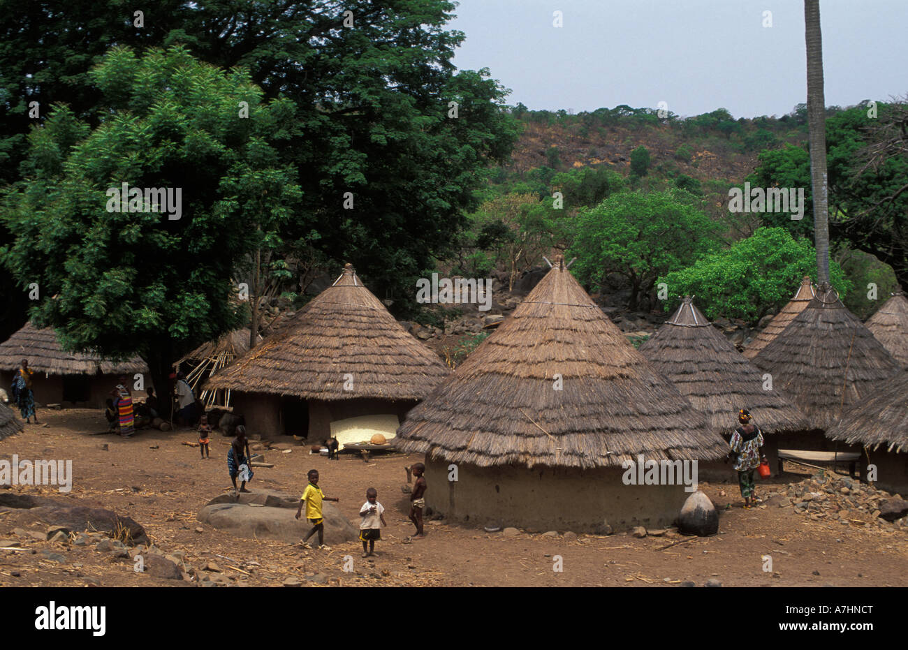 Bassari tribe hi-res stock photography and images - Alamy