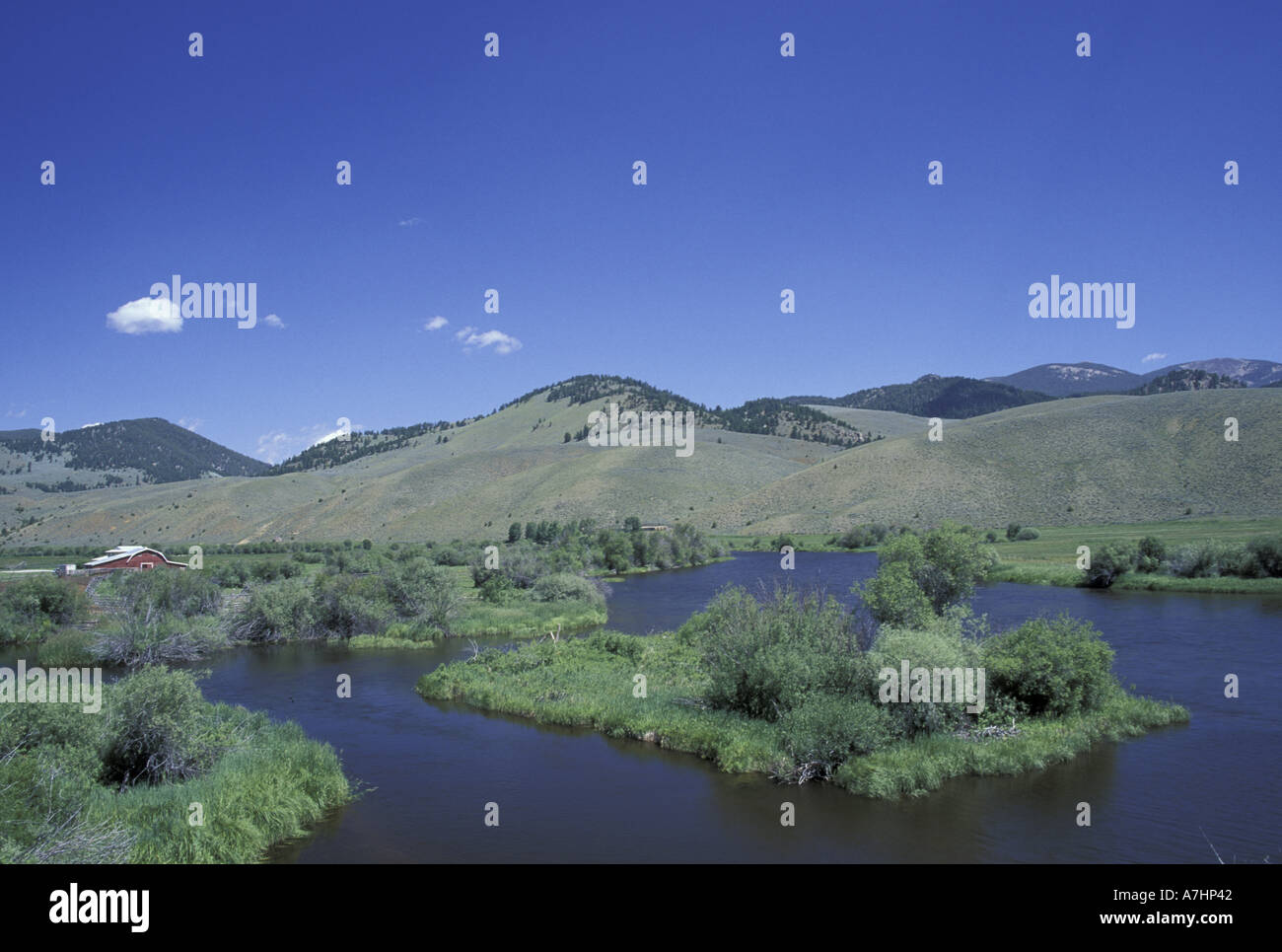 Wise river montana hi-res stock photography and images - Alamy