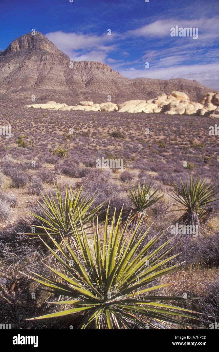 Turtle mountain conservation area hi-res stock photography and images ...