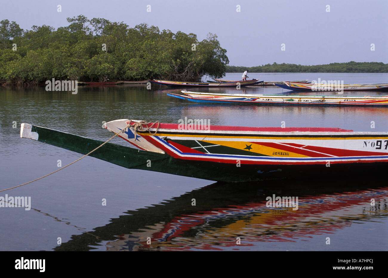 pirogues between the mangroves of the Siné Saloum delta Ndangane ...
