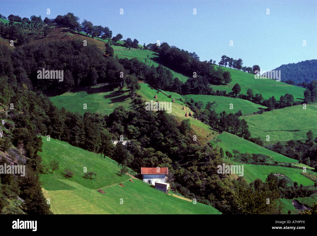 farm, farmhouse, farmstead, farmland, pasture land, grazing land ...