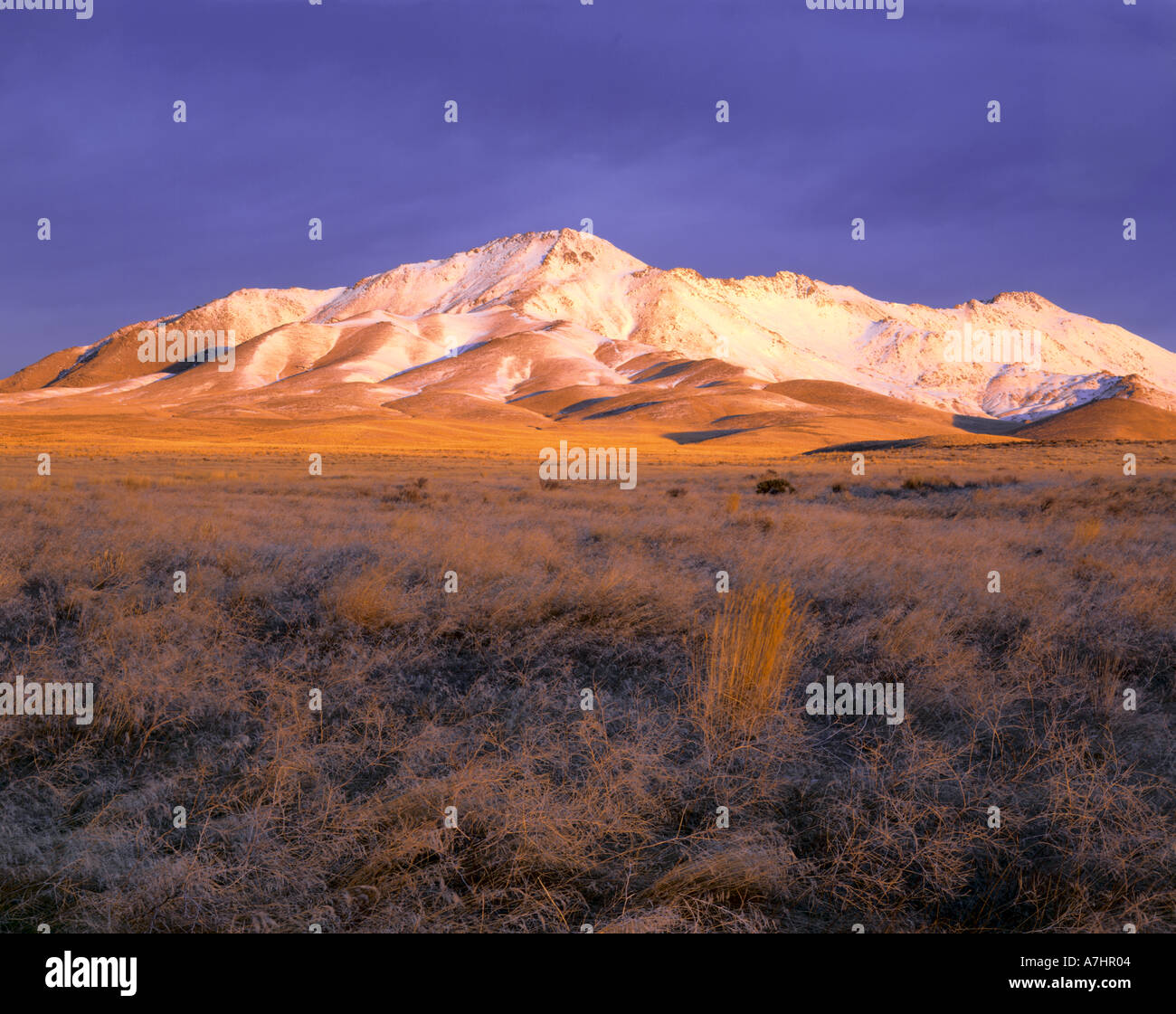 Bloody run hi-res stock photography and images - Alamy