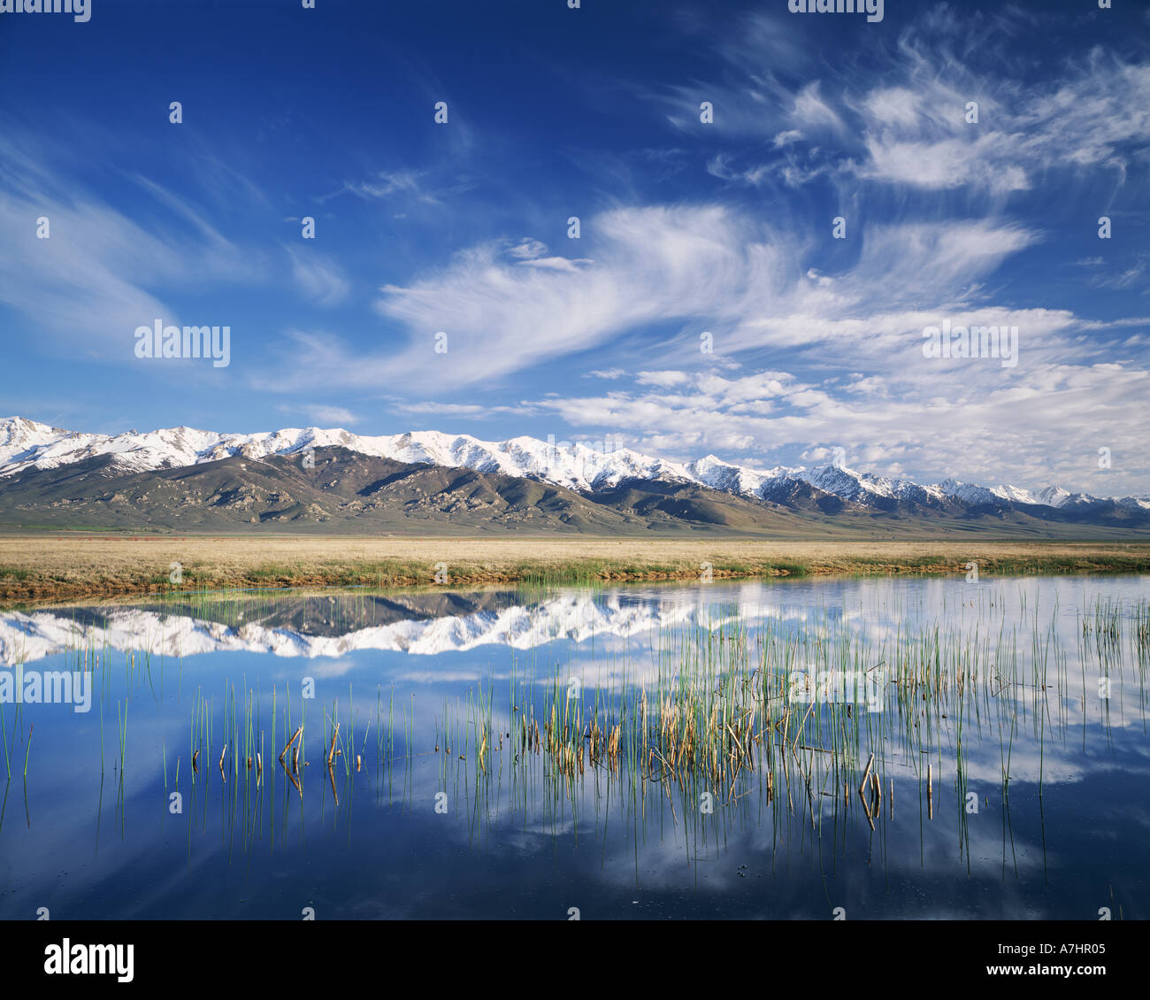 Ruby Mountain Nevada High Resolution Stock Photography and Images - Alamy