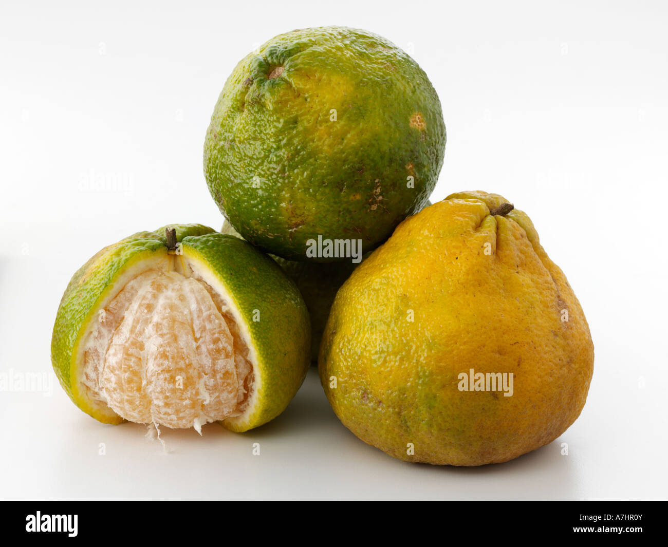 Ugli fruit on a white background editorial food Stock Photo - Alamy