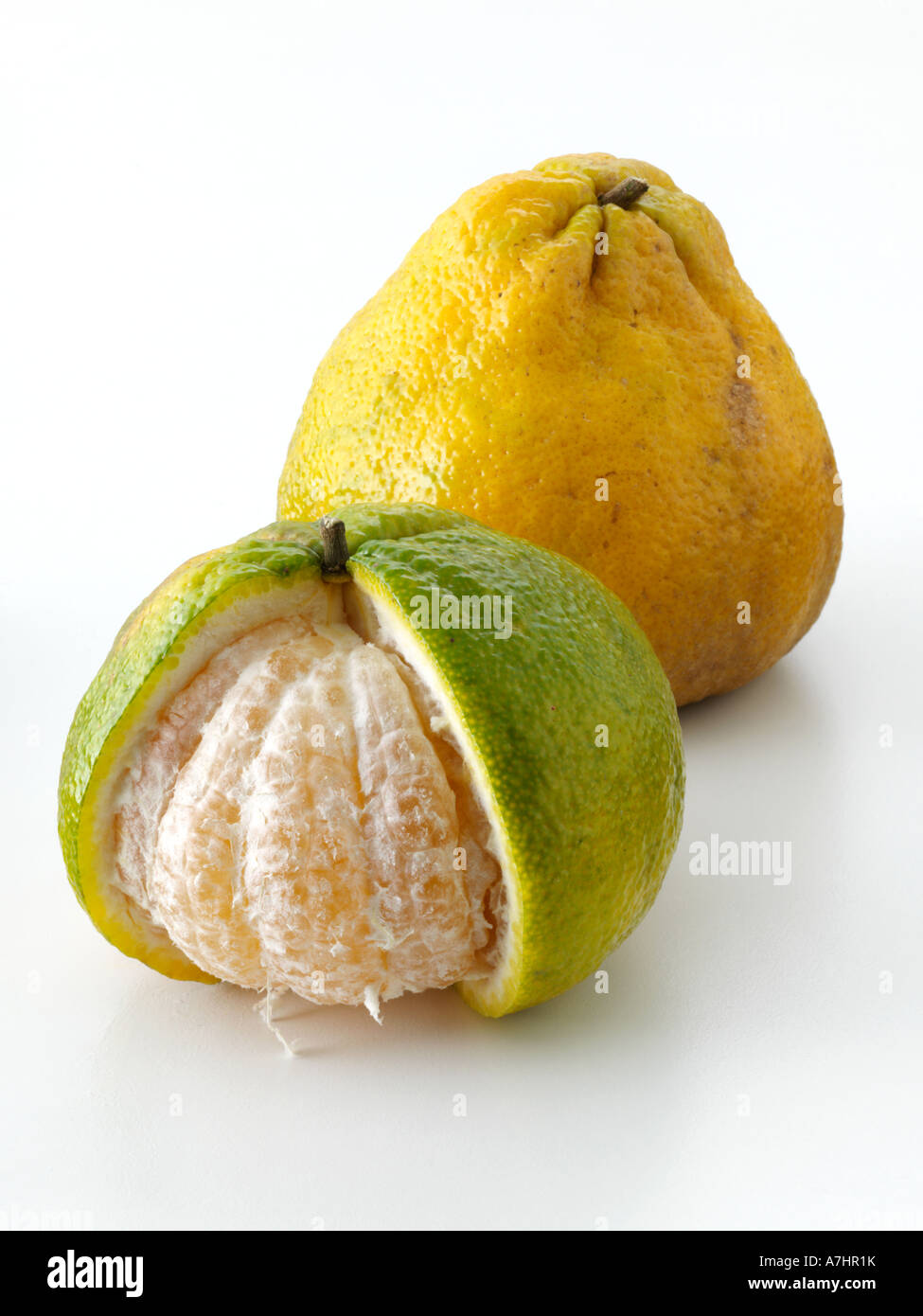 Ugli fruit hi-res stock photography and images - Alamy