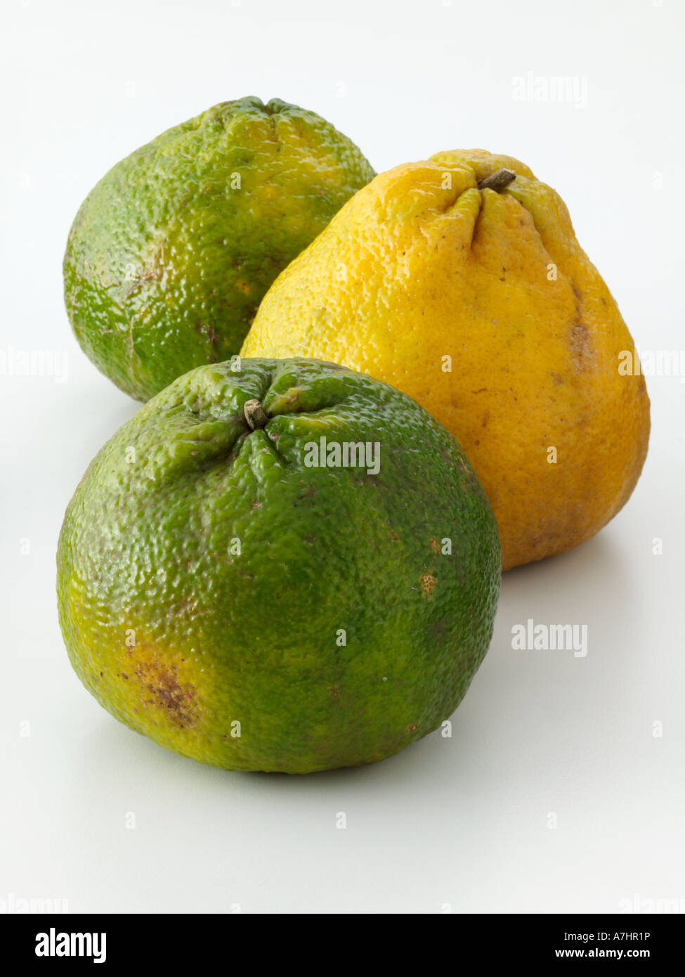Three Ugli fruit on a white background editorial food Stock Photo - Alamy