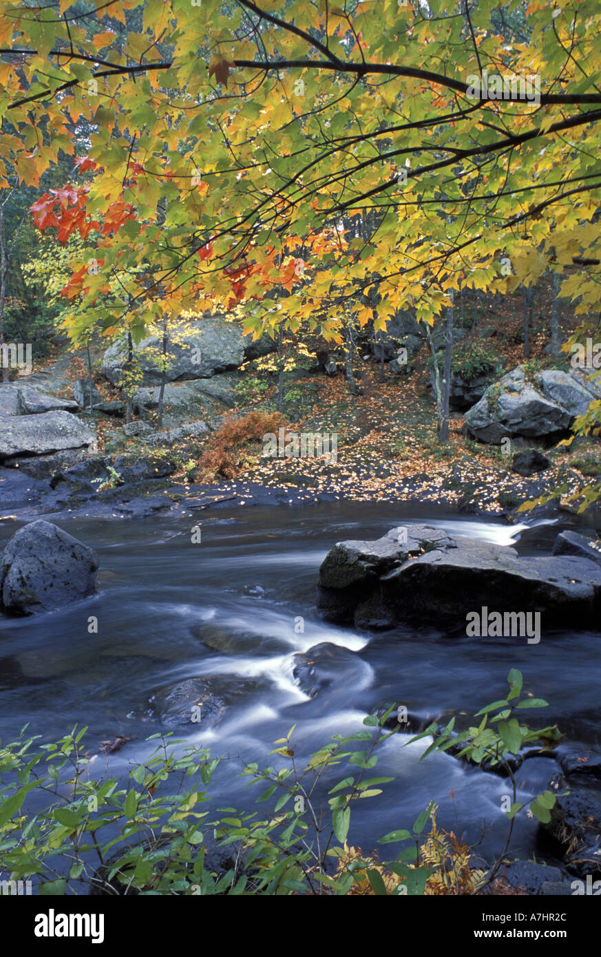 Packers fall road hi-res stock photography and images - Alamy