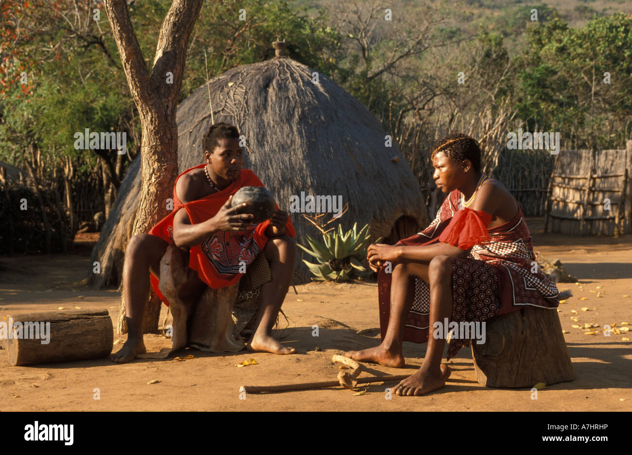 Swazi men sharing traditional beer Mantenga village Swaziland Stock ...