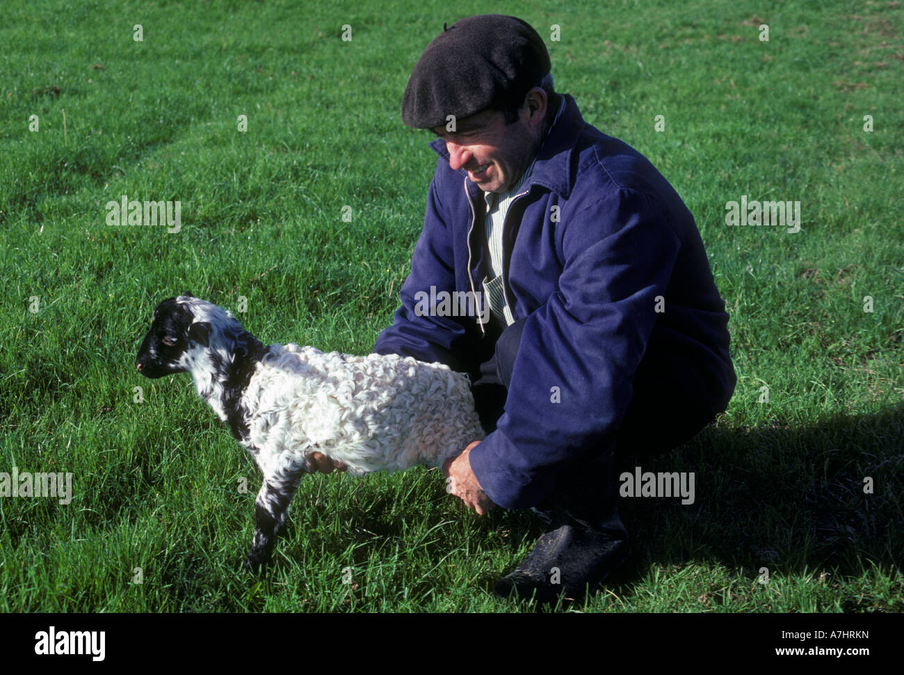 Shepherd holding lamb hi-res stock photography and images - Alamy
