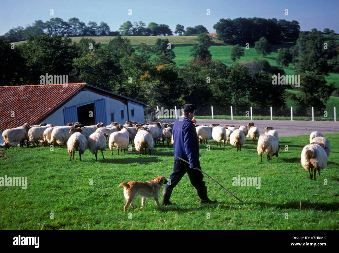 French basque people man male hi-res stock photography and images - Alamy