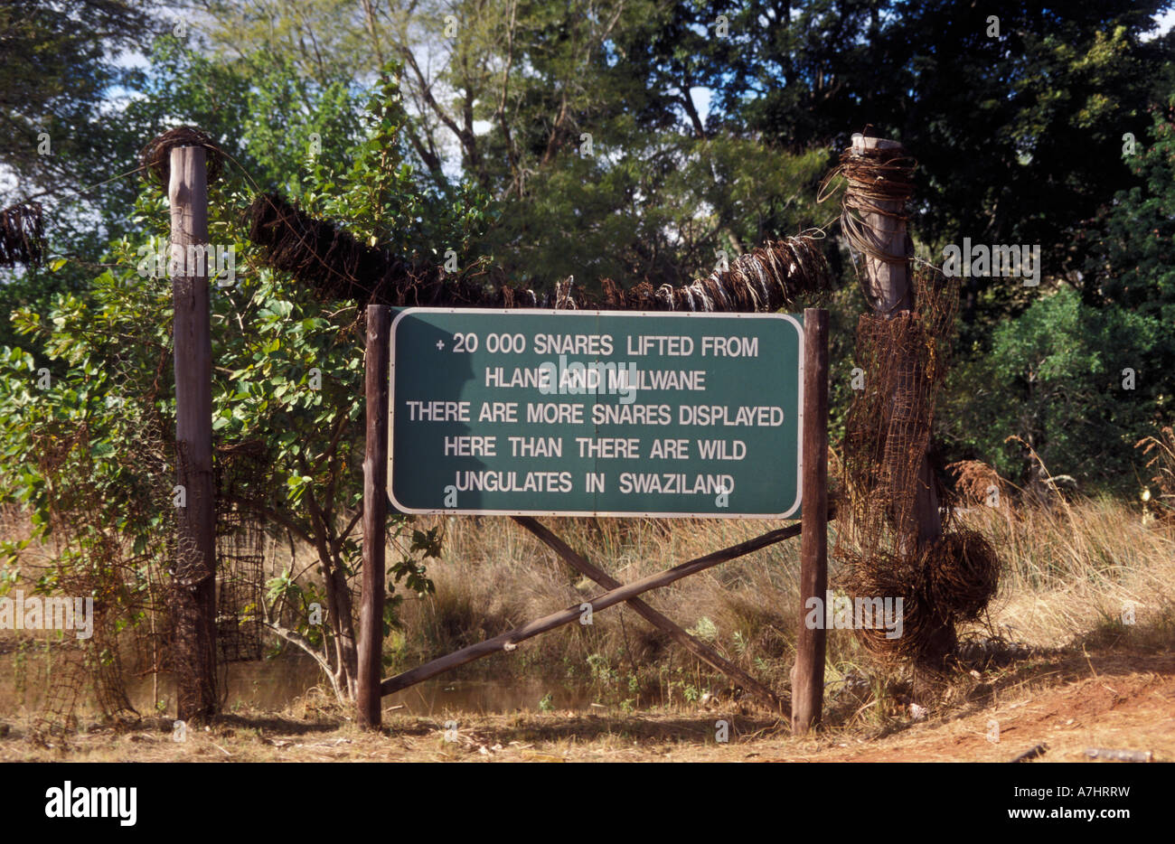 anti-poaching sign board Mlilwane wildlife sanctuary Swaziland Stock ...