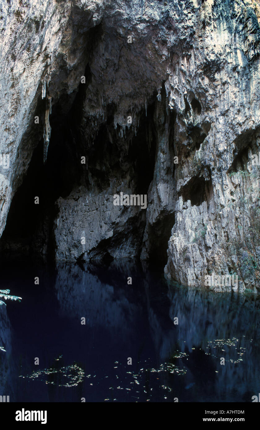 cave Chinhoyi Caves National Park Chinhoyi Zimbabwe Stock Photo - Alamy