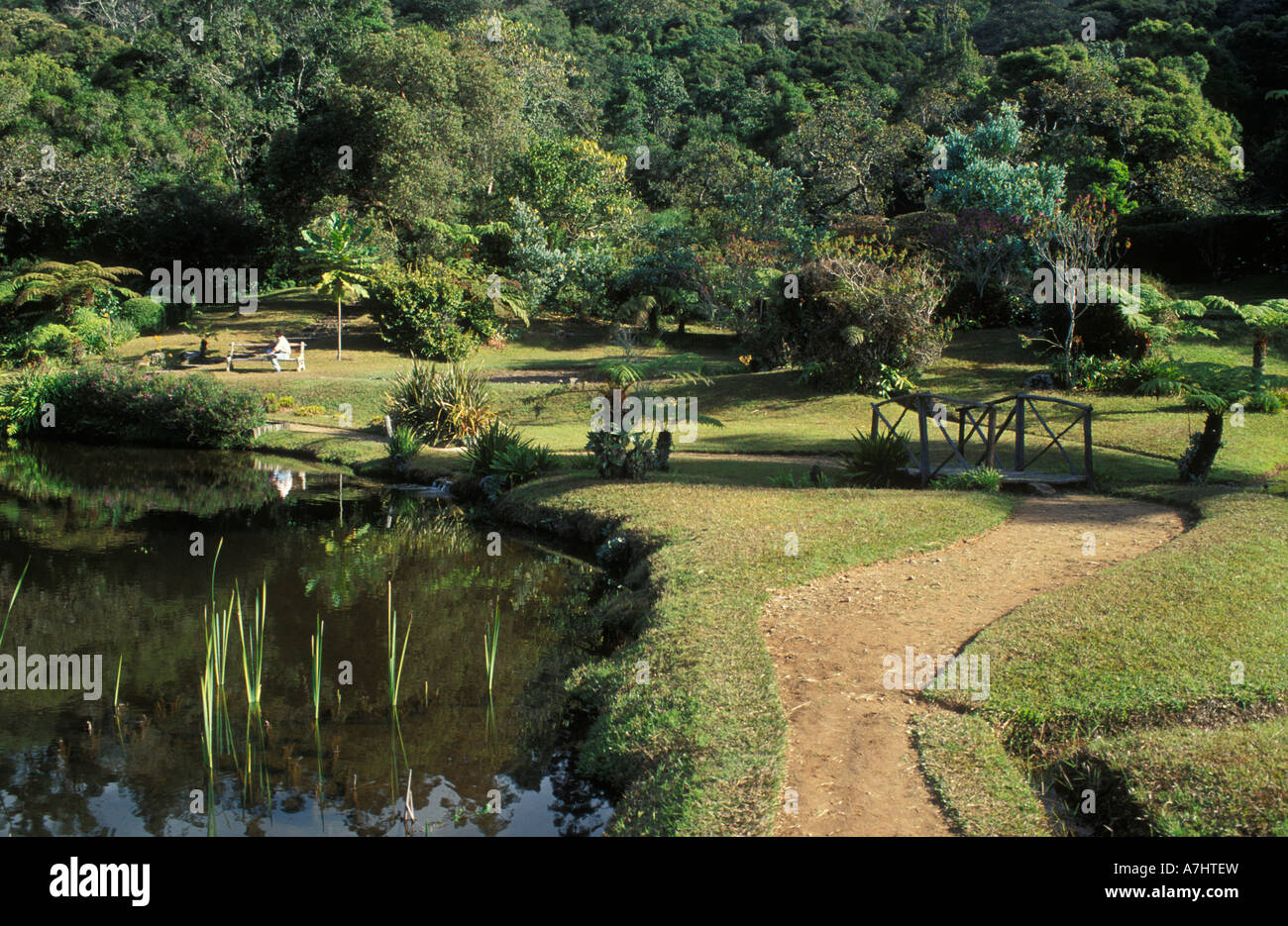 Bvumba botanical garden Eastern Highlands Zimbabwe Stock Photo - Alamy