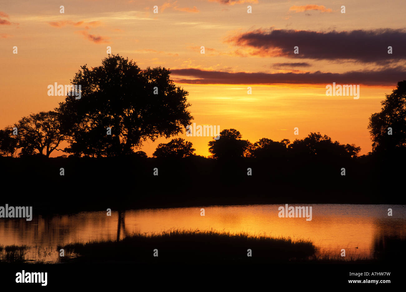 sunset over a waterhole Hwange National Park Zimbabwe Stock Photo - Alamy