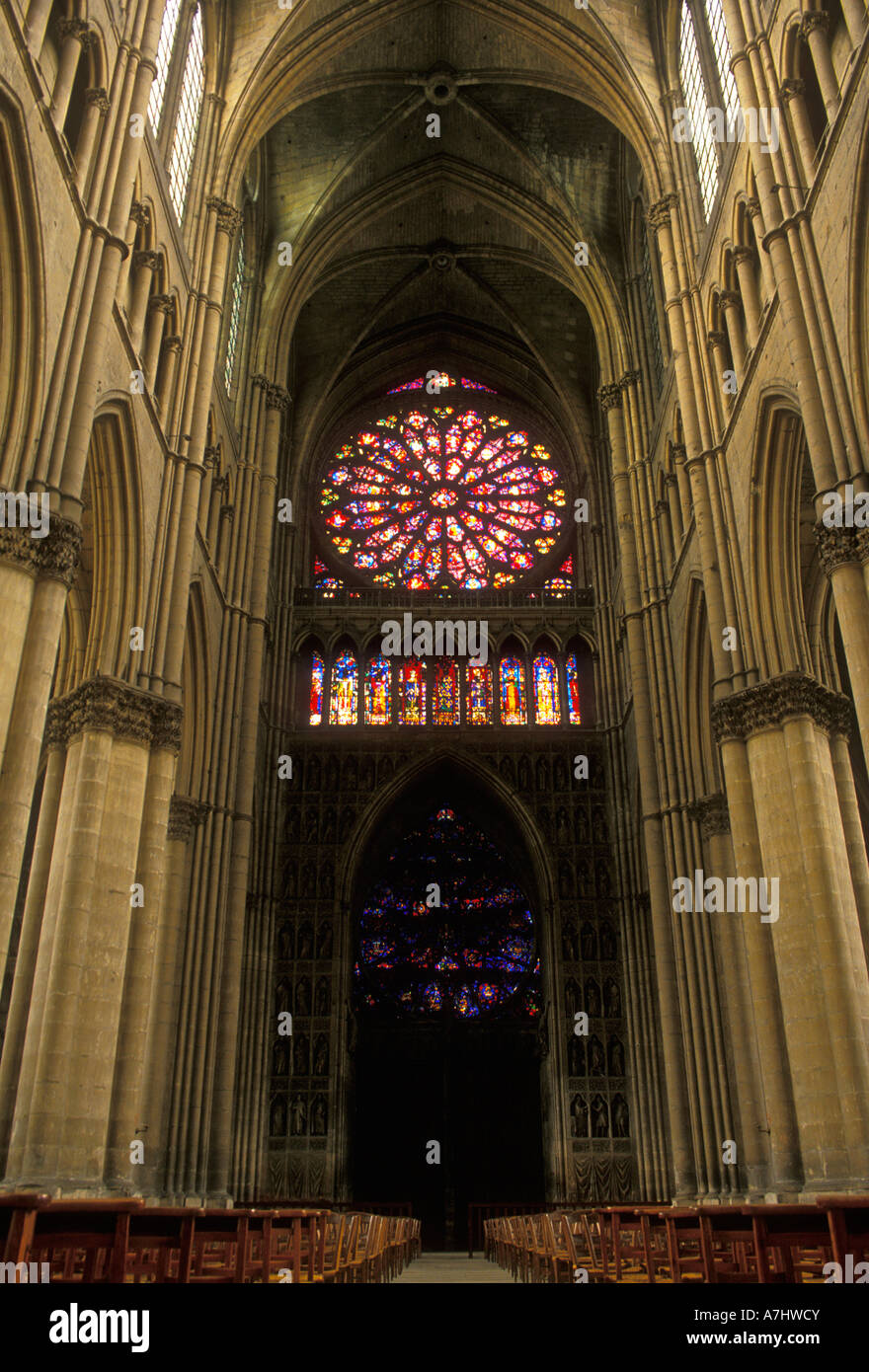 stained glass window, rose window, Reims Cathedral, cathedral, Notre ...