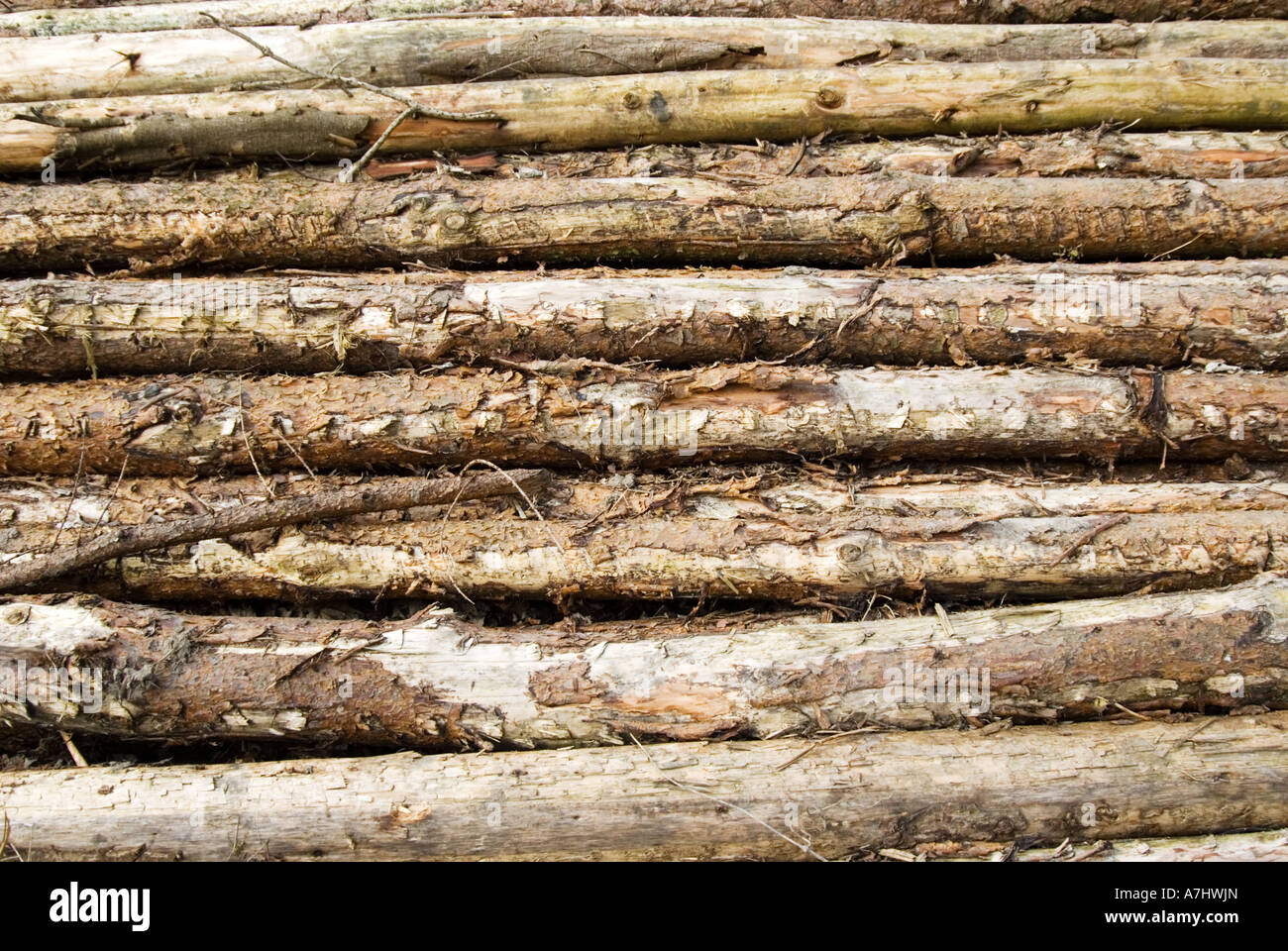 pile of logs Stock Photo - Alamy