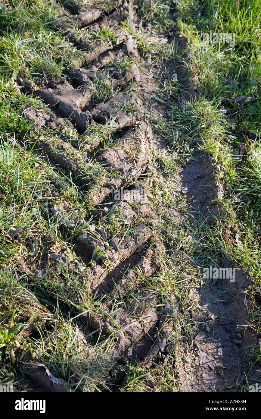 Rut of tractor in clay soil, Holland Stock Photo - Alamy