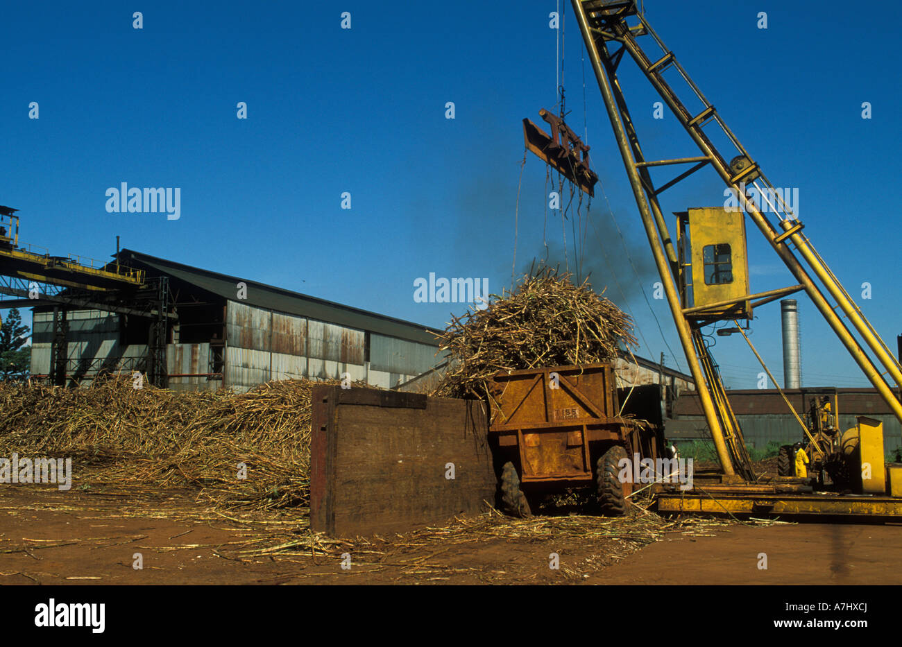 Kakira sugar works Jinja Uganda Stock Photo - Alamy