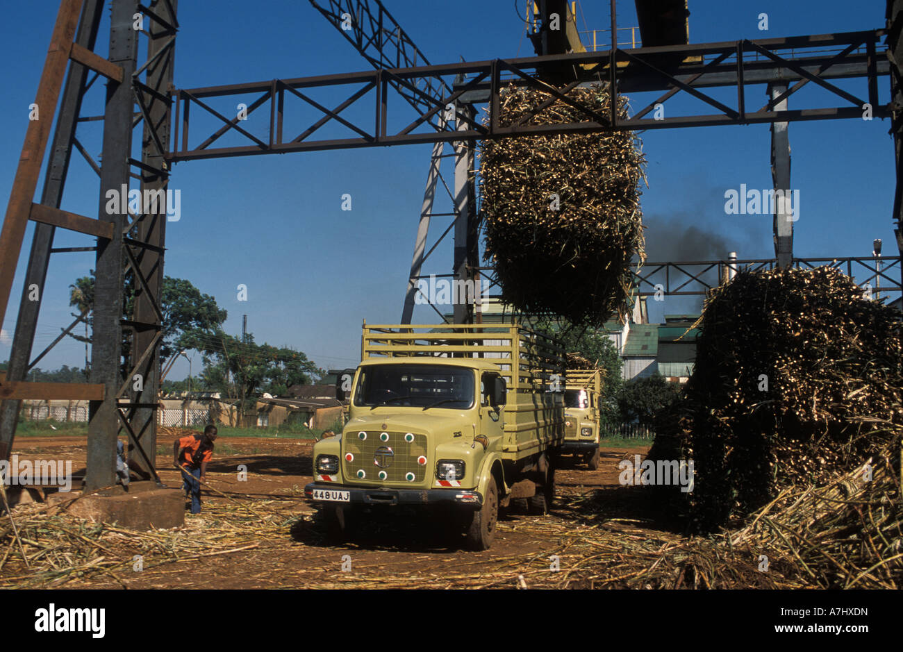 Kakira sugar works Jinja Uganda Stock Photo - Alamy