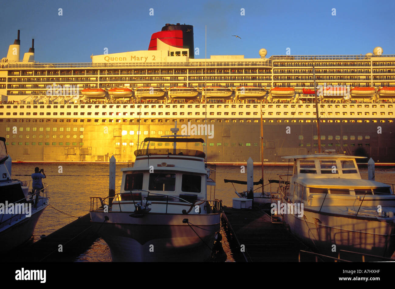 Side view of the majestic Queen Mary 2 as the setting sun's warm glow ...