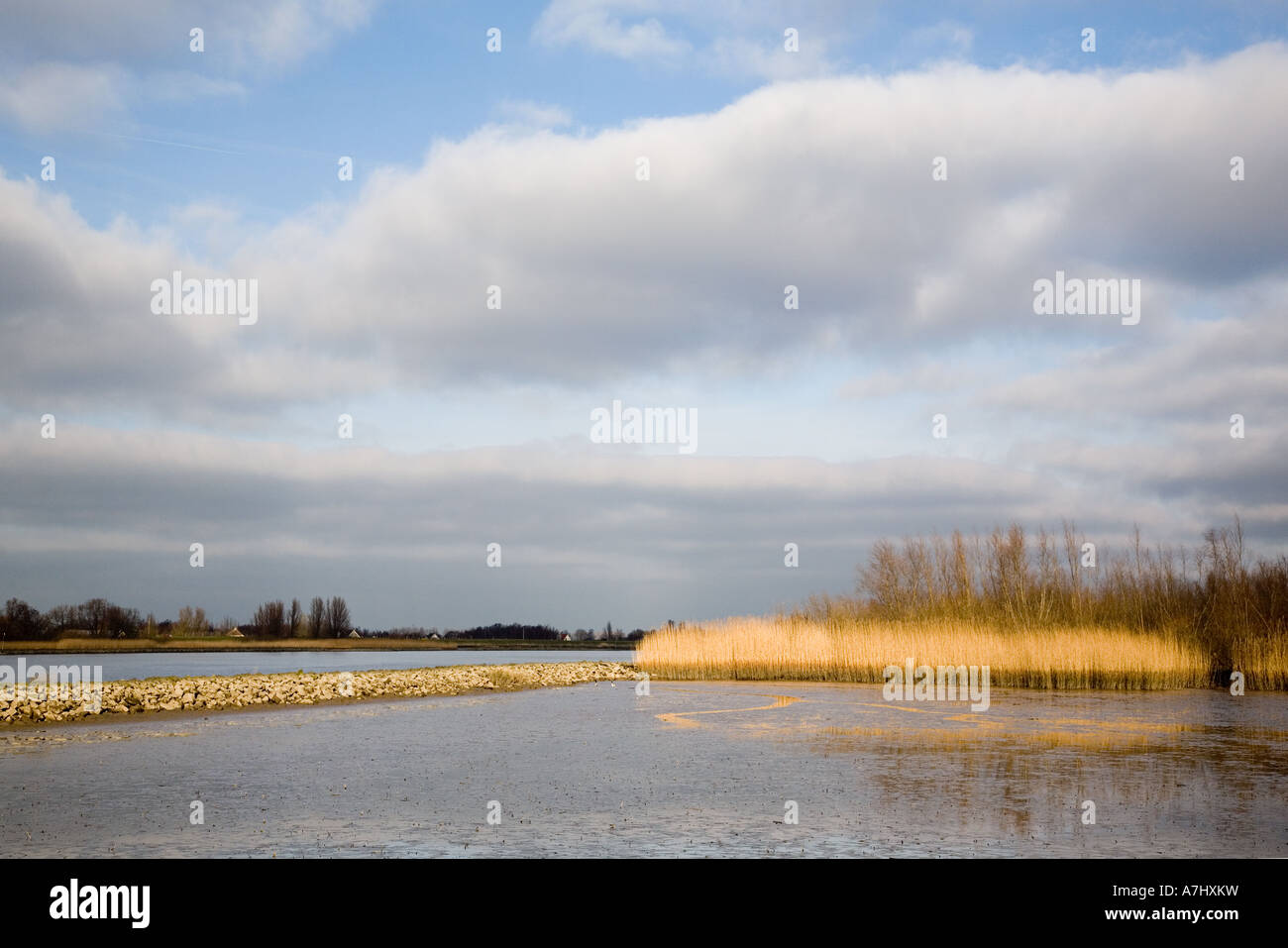 Landscape along the river Lek, Streefkerk, Holland Stock Photo - Alamy