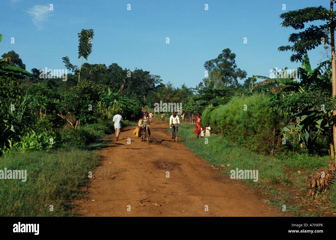 rural road near Jinja Uganda Stock Photo - Alamy