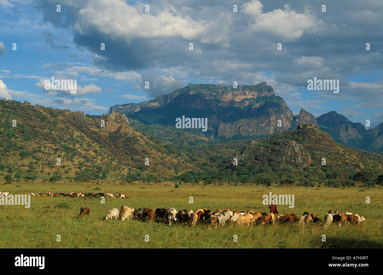 Mount kadam hi-res stock photography and images - Alamy