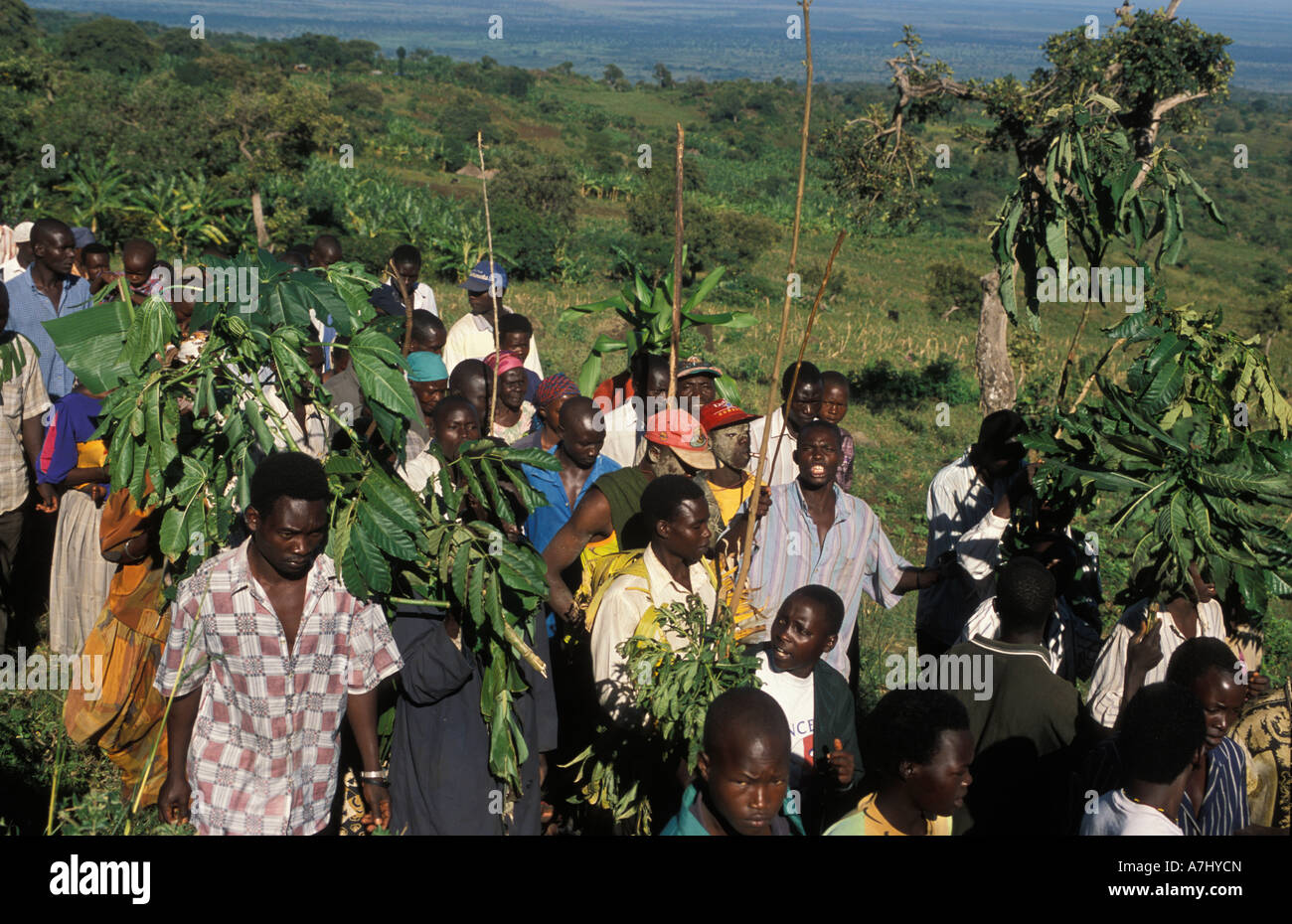 Bagisu circumcision ceremony mbale uganda hi-res stock photography and ...