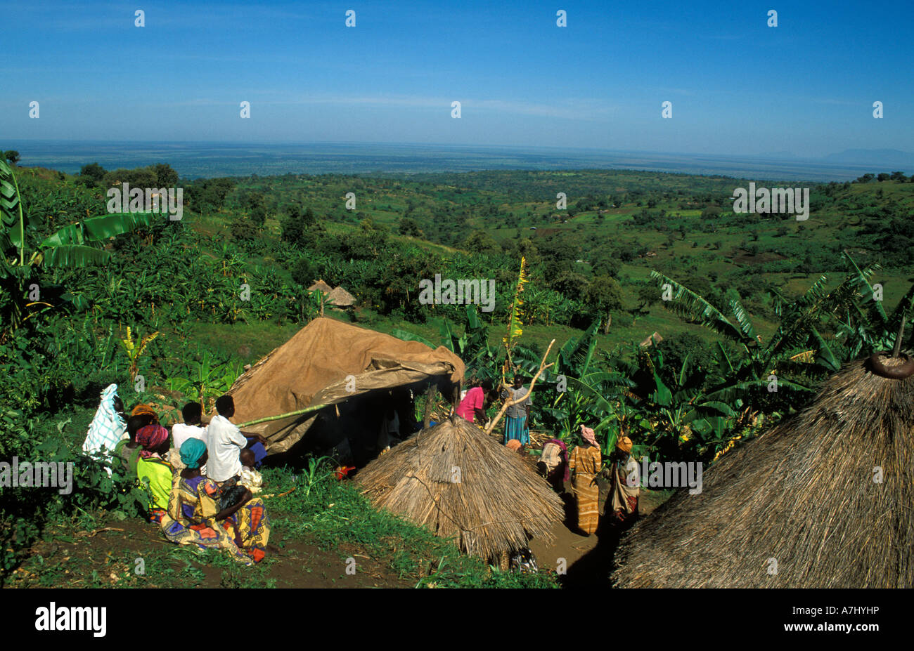 Bagisu village on the footslopes of Mount Elgon Mbale Uganda Stock ...
