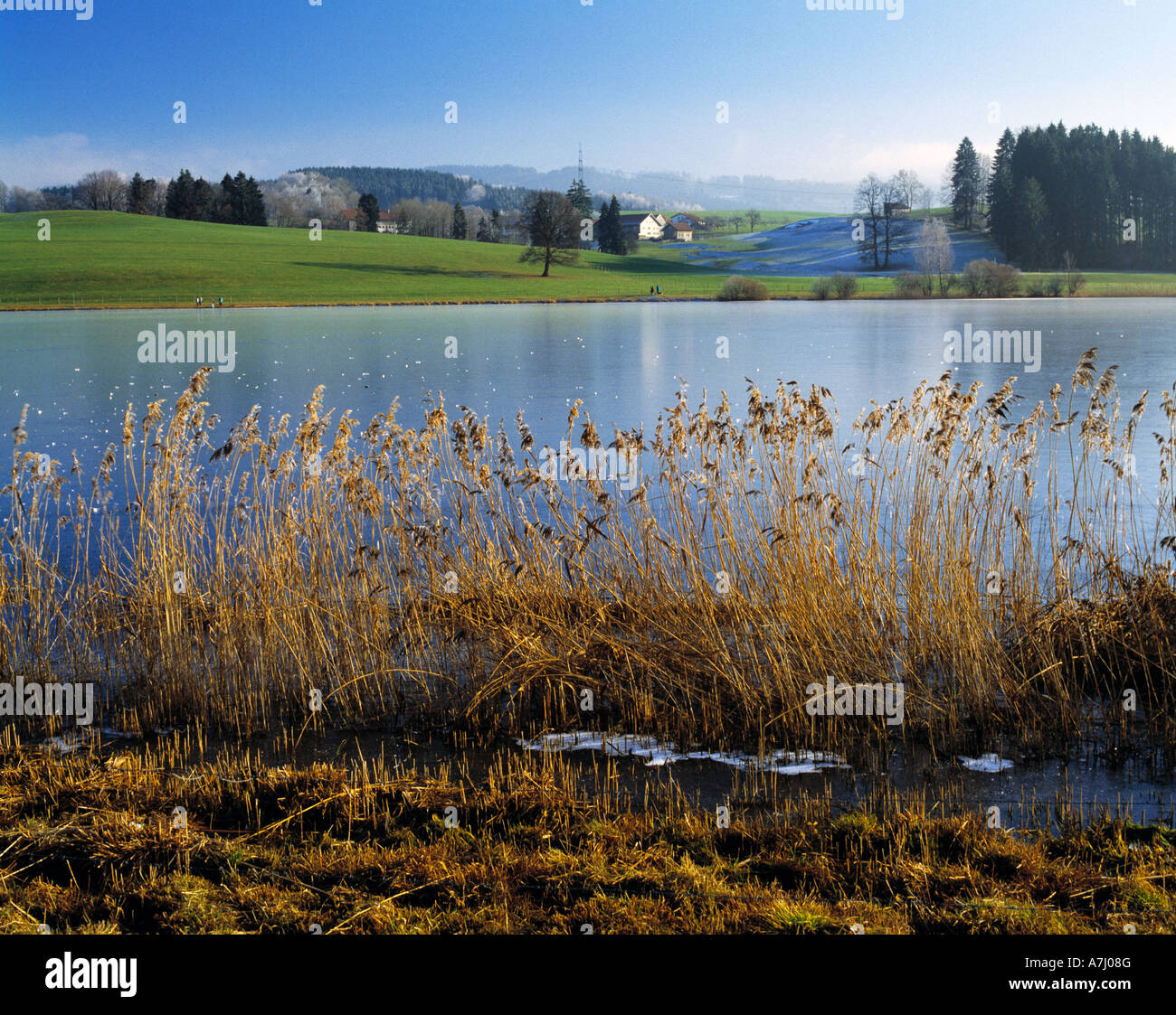 Sulzberger hi-res stock photography and images - Alamy